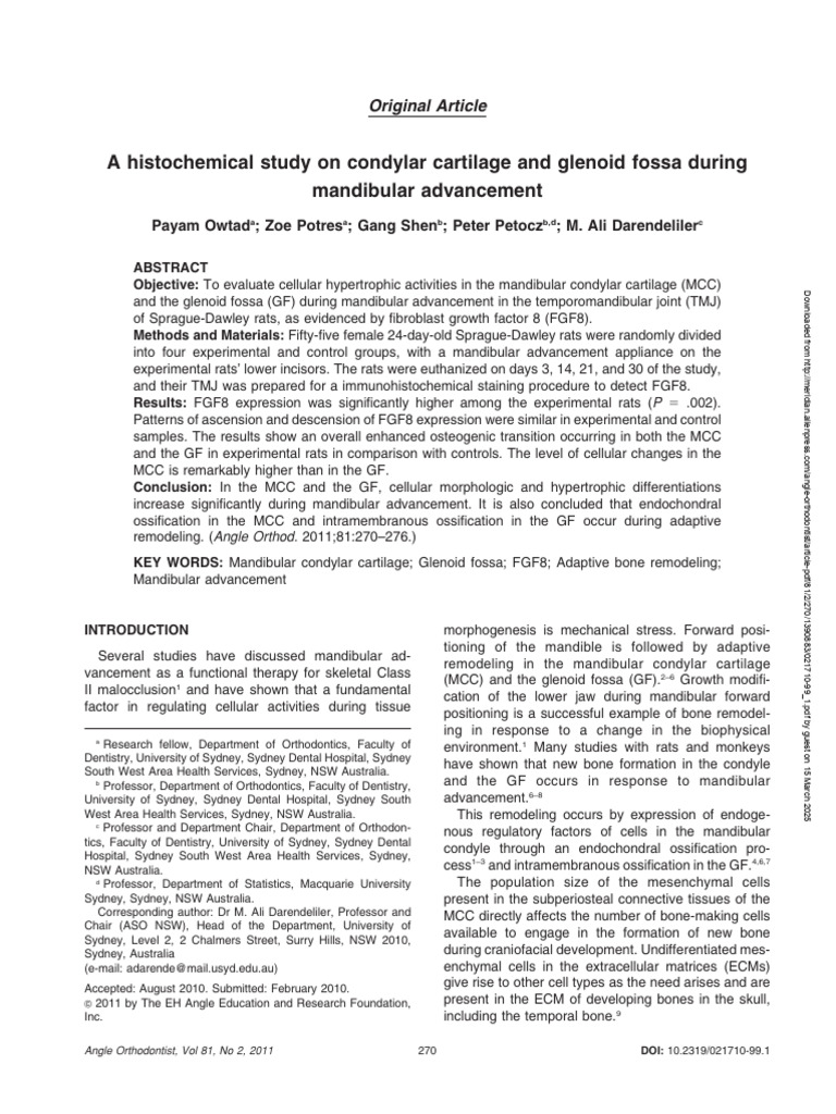 1.a Histochemical Study On Condylar Cartilage and Glenoid Fossa During ...