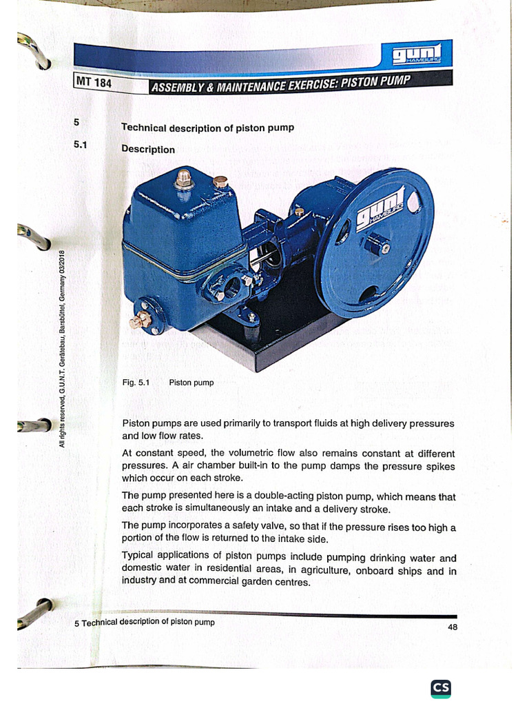 Piston Pump | PDF