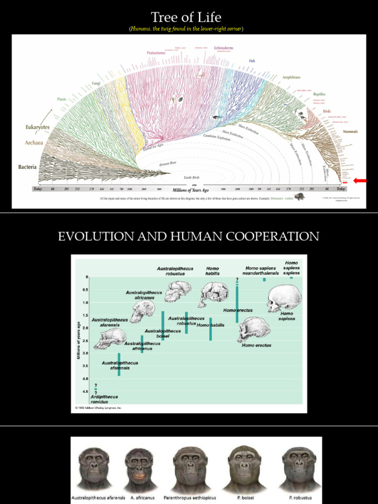 Evolution and human cooperation_2025 | PDF | Cooperation | Evolution