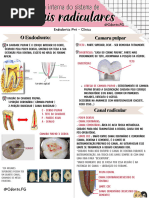 Anatomia do Dente 27: Molar Superior | PDF | Raiz | Dente