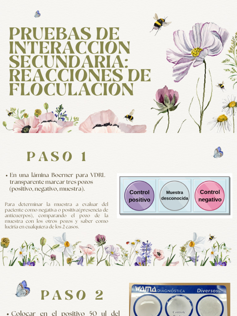 Protocolo Lab. 4 FAGOCITOSIS PDF | PDF