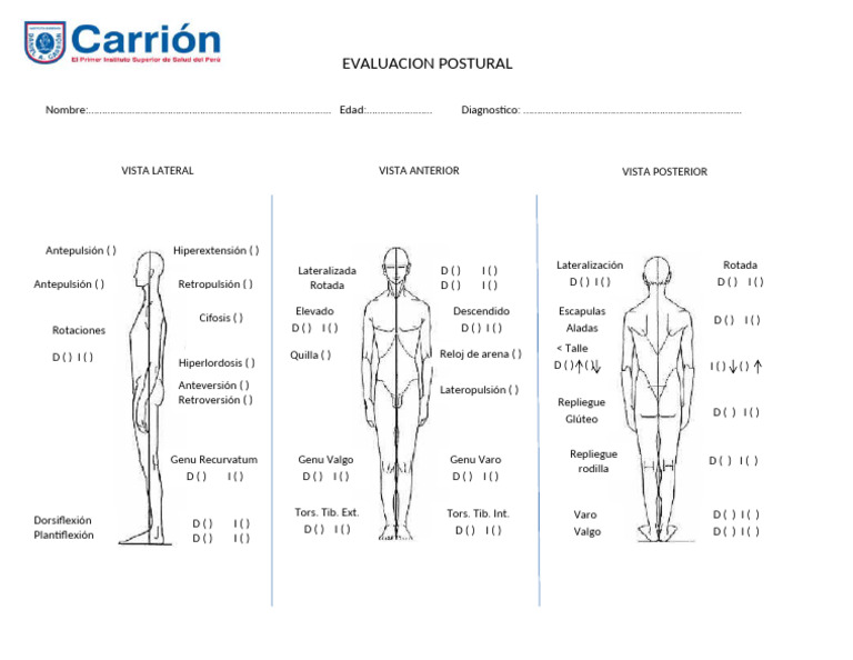 Evaluacion Postural | PDF