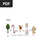 Interview Questions | PDF