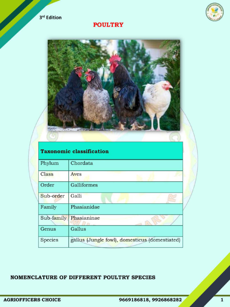 Poultry 1 | PDF