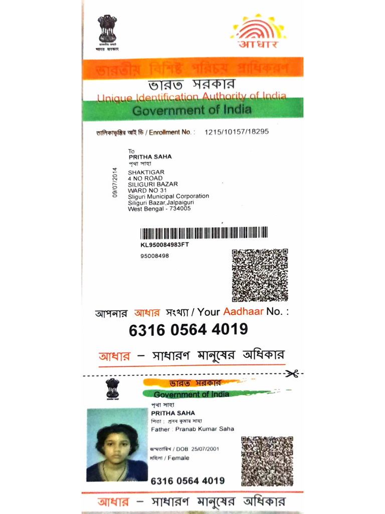 Pritha Saha | PDF