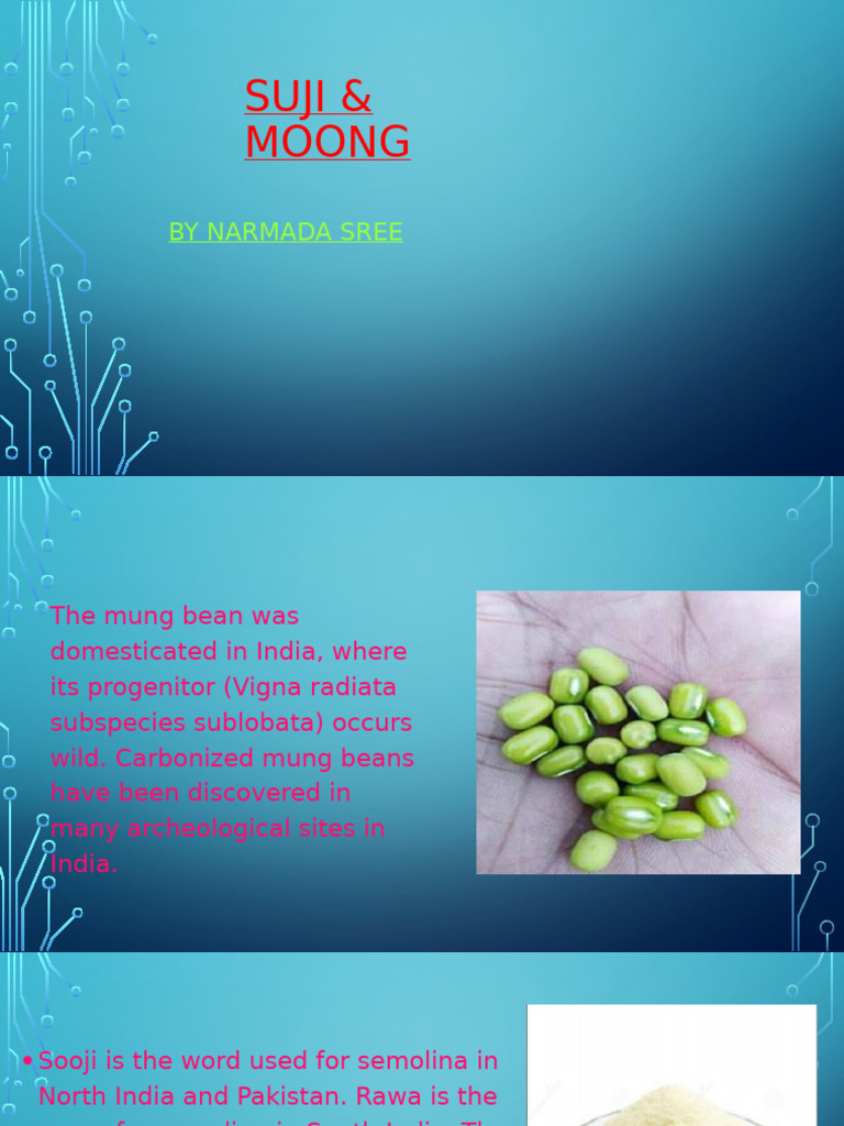 Integrated Project by Narmada | PDF