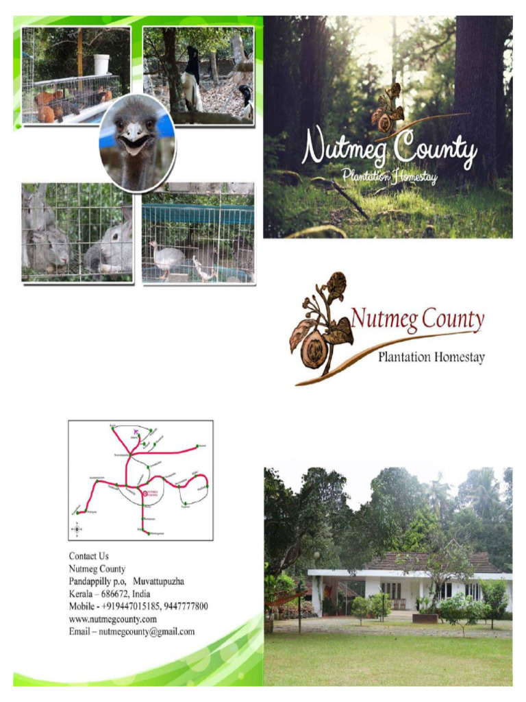 Nutmeg County Brochure | PDF