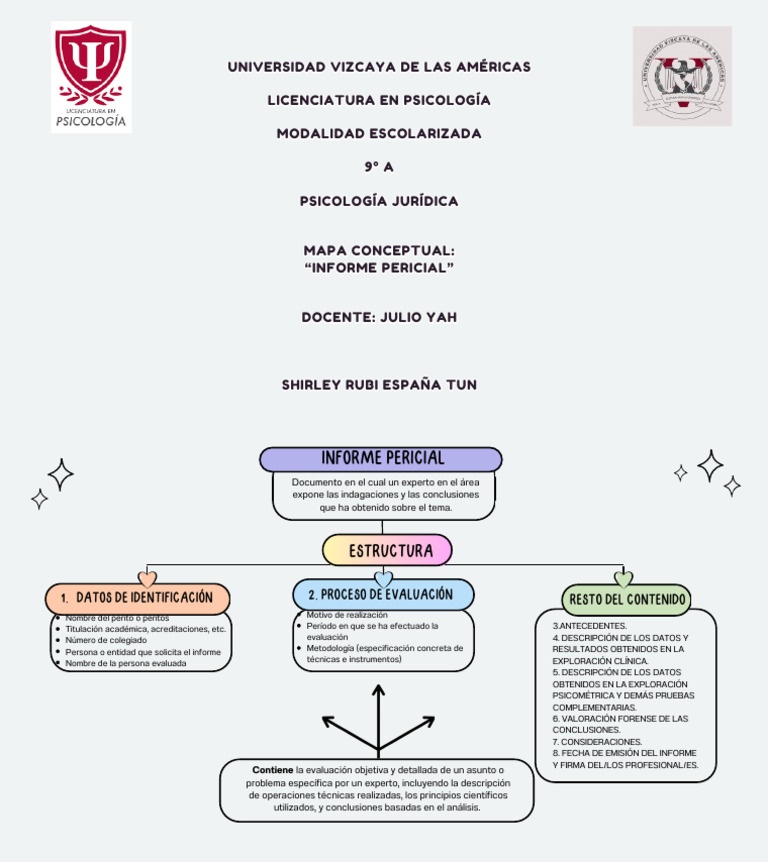 Mapa Conceptual Informe Pericial | PDF