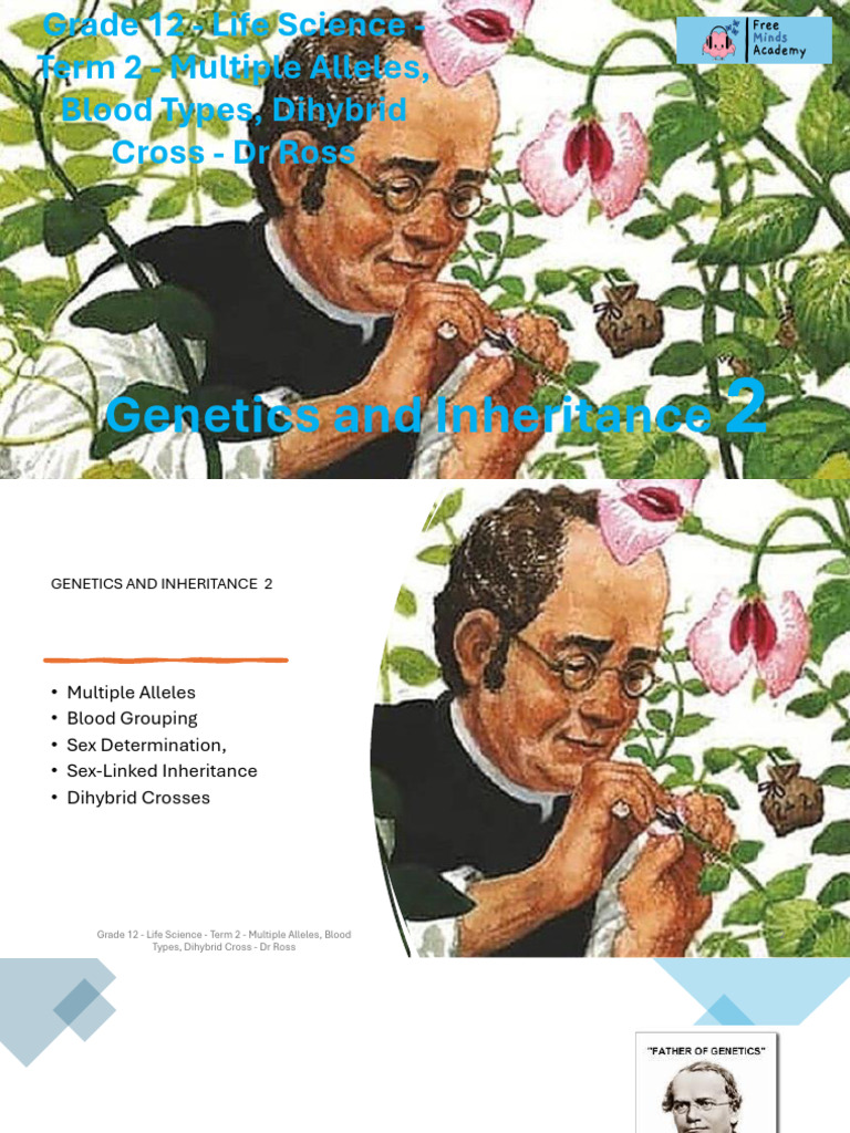 Lesson 2 - Term 2 - Multiple Alleles, Blood Types - Genetics and ...