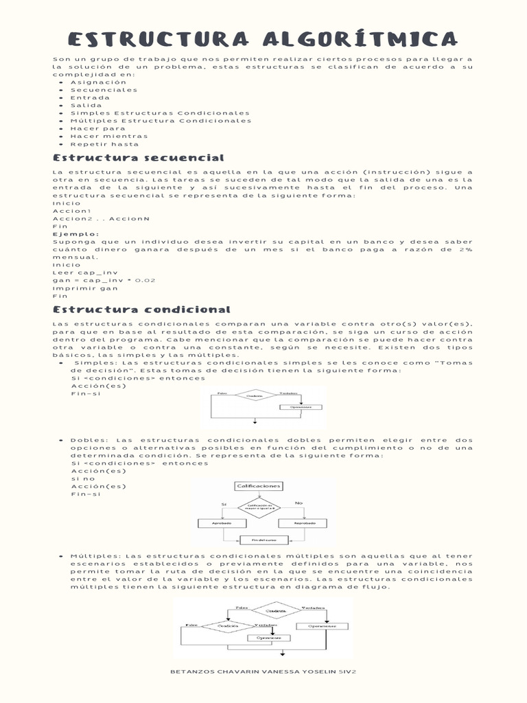 Infografia Algoritmos | PDF | Algoritmos | Programación de computadoras
