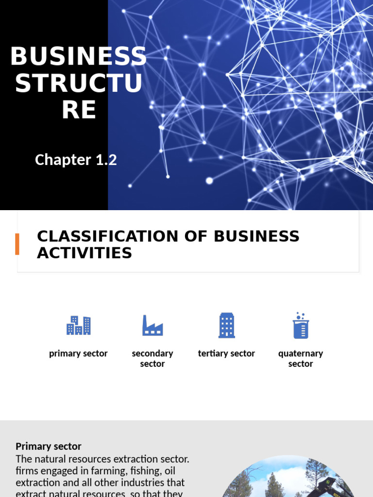 Business Activity Classification Overview | PDF | Franchising | Sole ...
