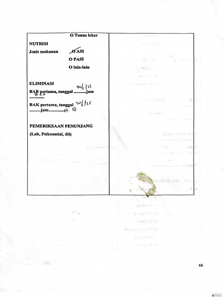 Laporan Intranatal Care Eka | PDF