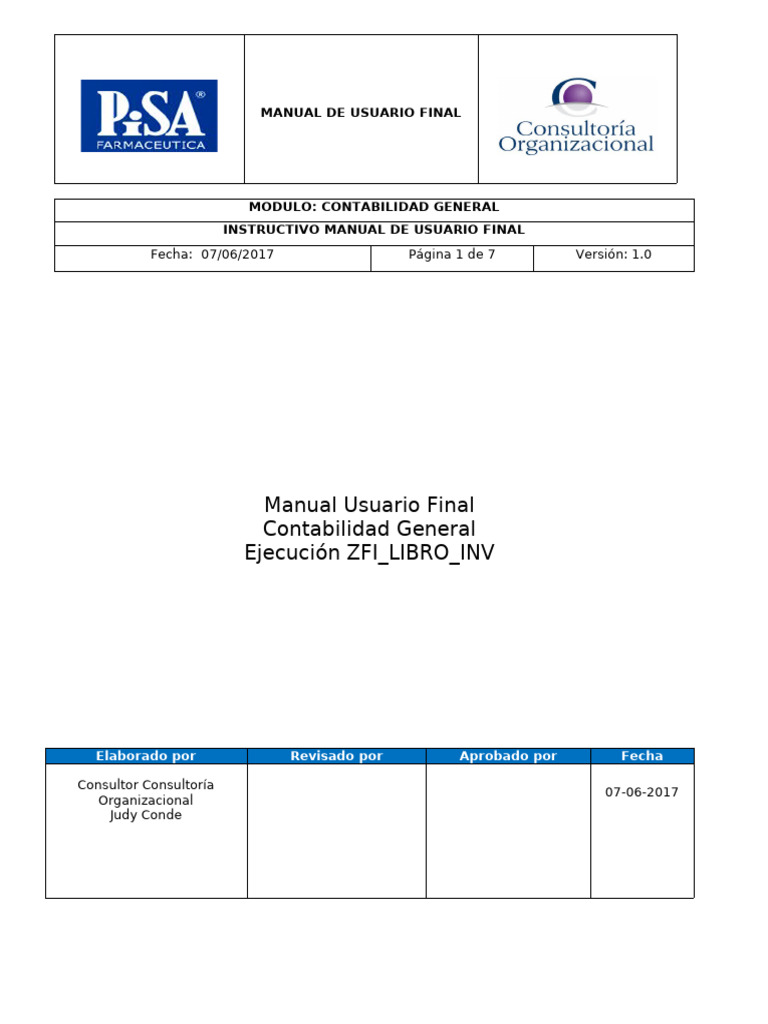 FI GL Manual Ejecución Tx. ZFI - LIBRO - INV - Libro Inverntario y Balance | PDF | Contabilidad ...