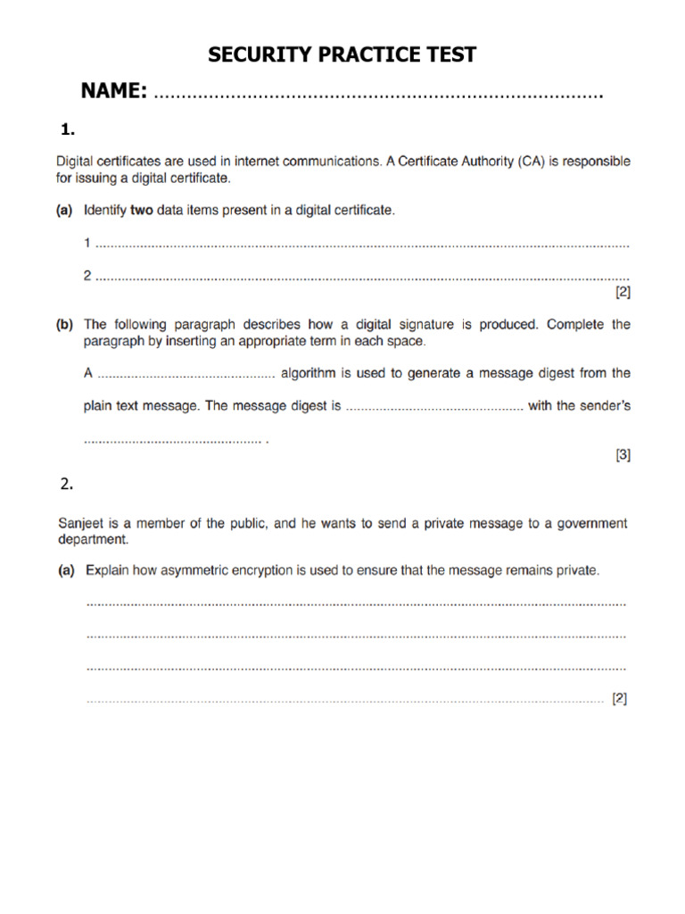 Security Practice Test A Level | PDF