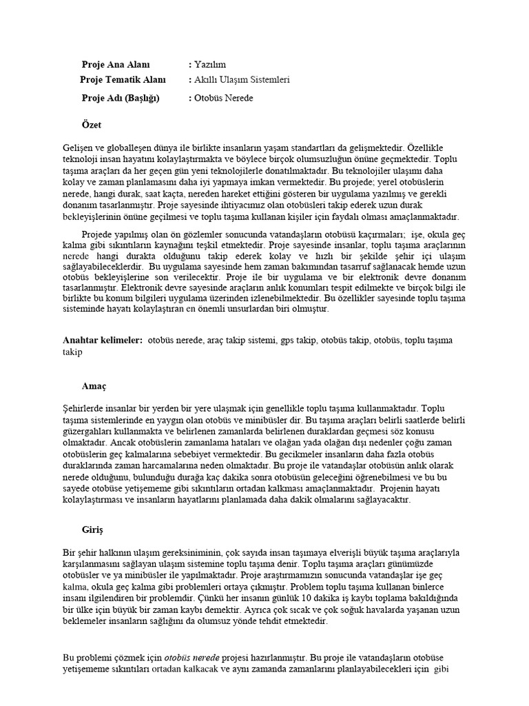 Proje Ana Alani Yazilim | PDF