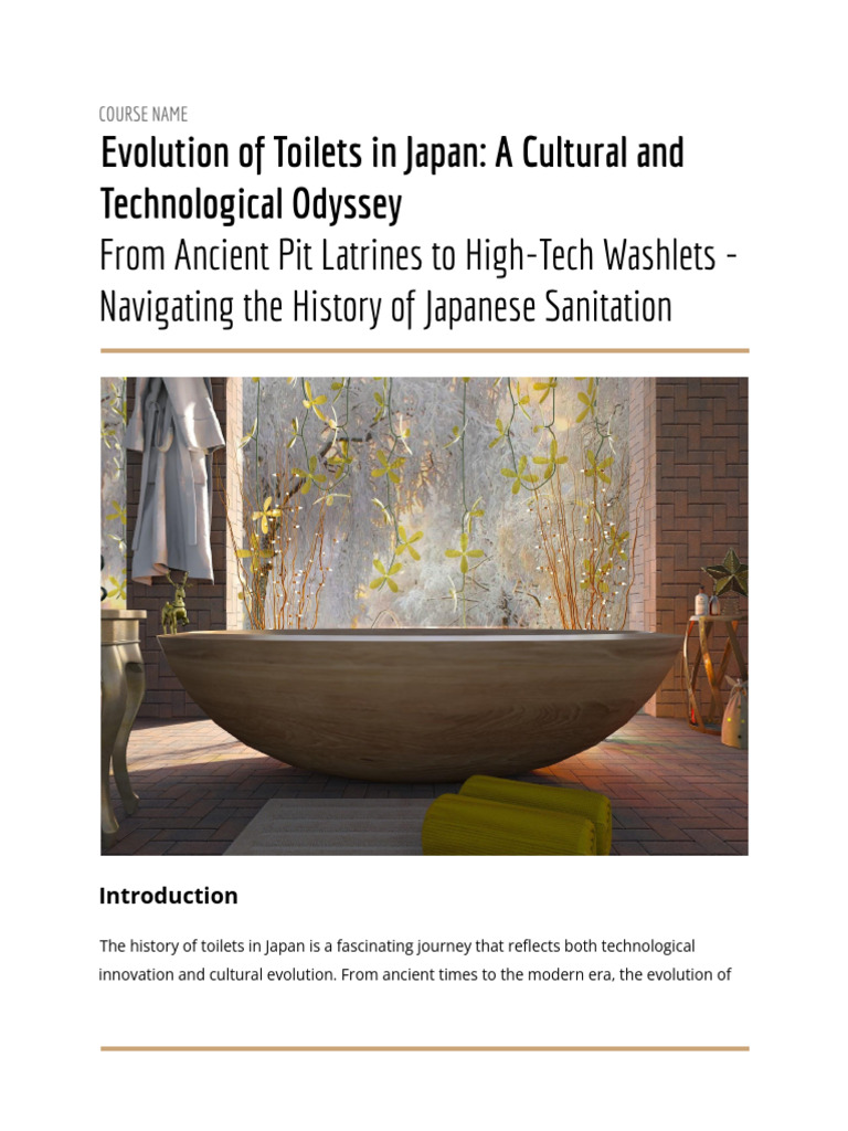 Evolution of Toilets in Japan - A Cultural and Technological Odyssey ...