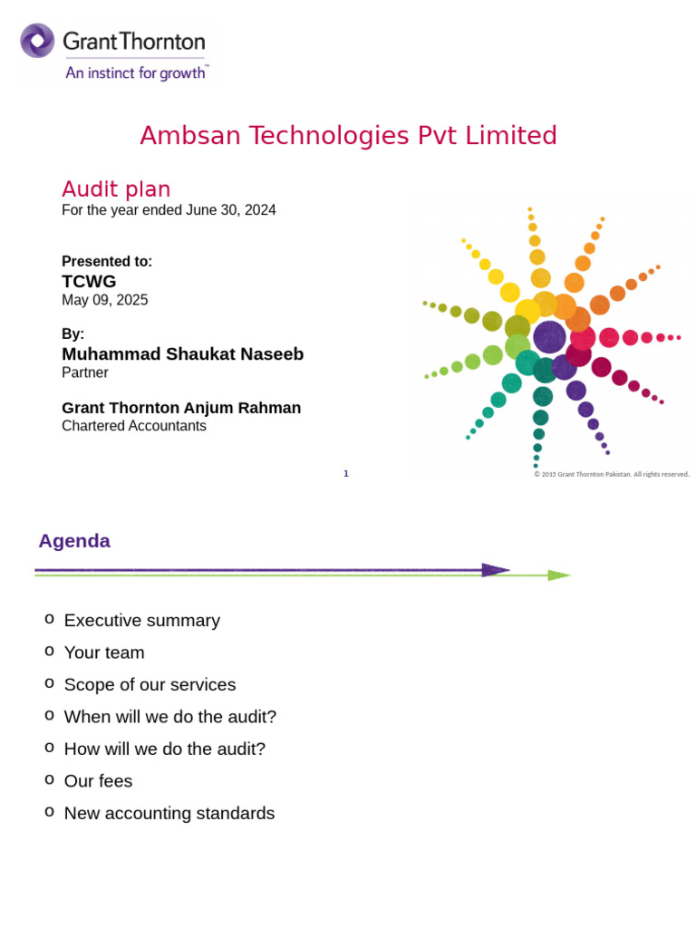 Audit Plan Presentation for Ambsan Technologies | PDF | Audit | Business