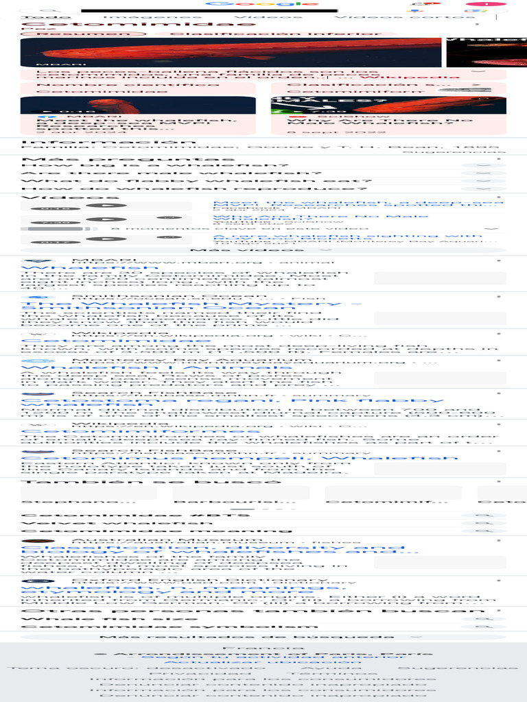 Whalefish - Buscar Con Google | PDF | Oceanography | Aquatic Vertebrates