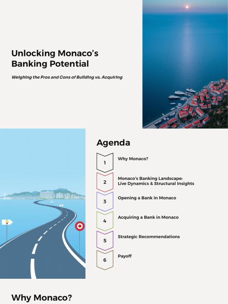 Pros Cons Monaco Banking Analysis | PDF | Banks | Cryptocurrency