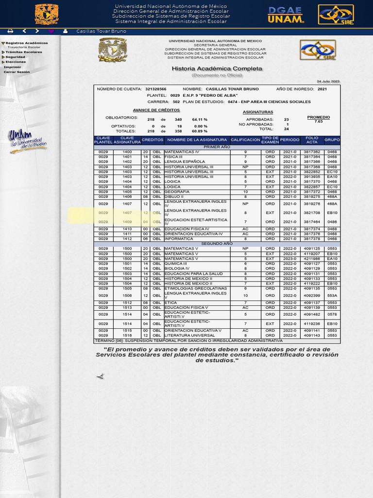 SIAE (Panel de Control) 2 | PDF