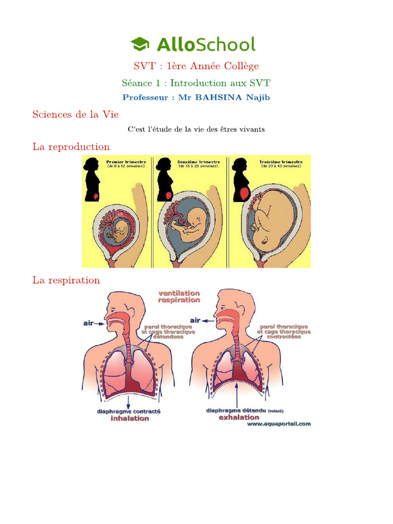 Cours SVT 1 AC | PDF