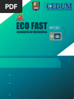 Exploracion ECO FAST | PDF | Pelvis | Hígado