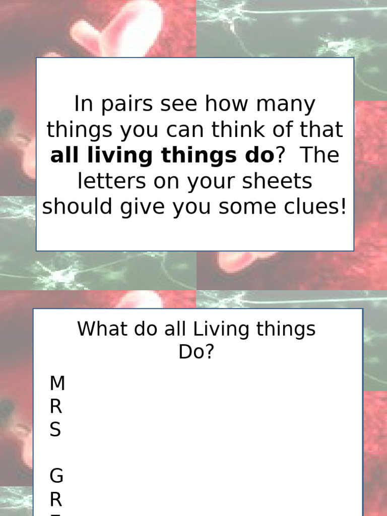 Specialised Cells | PDF