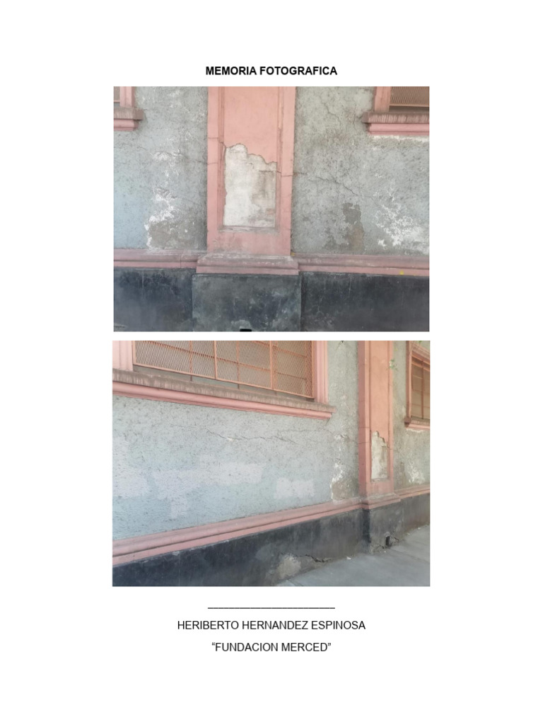 Memoria Fotografica | PDF