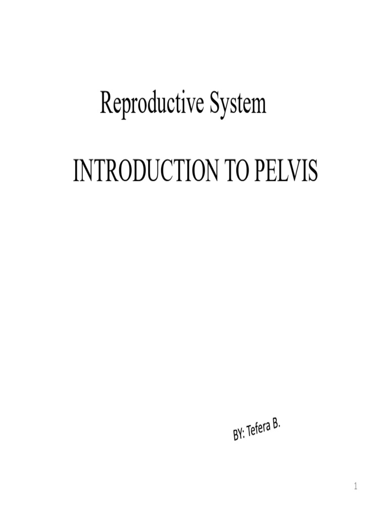 Pelvis Anotomy About Pelvic or Hip Bones. | PDF | Pelvis | Uterus