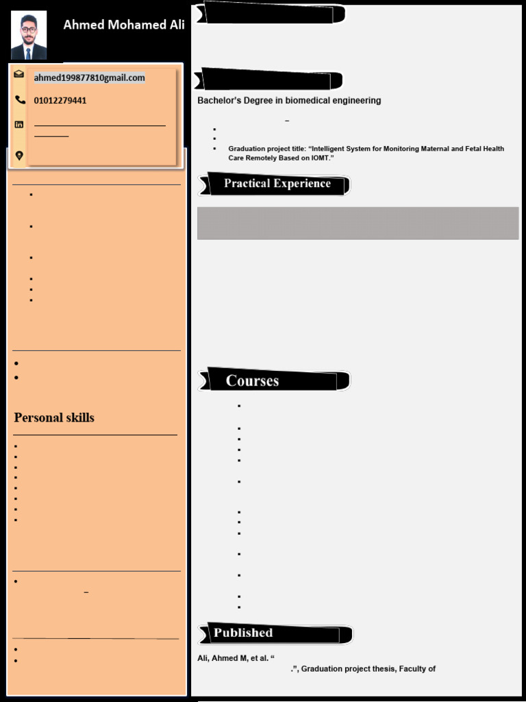 Ahmed Mohammed Ali__.cv | PDF | Embedded System | Deep Learning