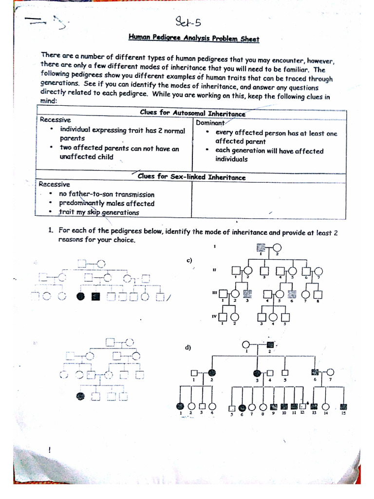 Pedigree Test Paper Class 12 | PDF