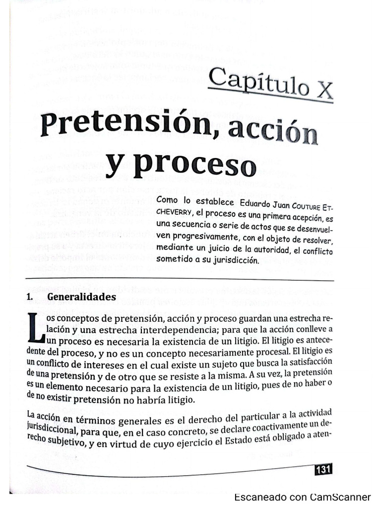 Pretensión, Acción y Proceso (Escaneado) | PDF