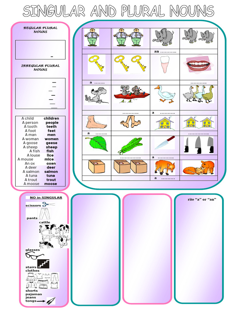 Singular and Plural Nouns | PDF