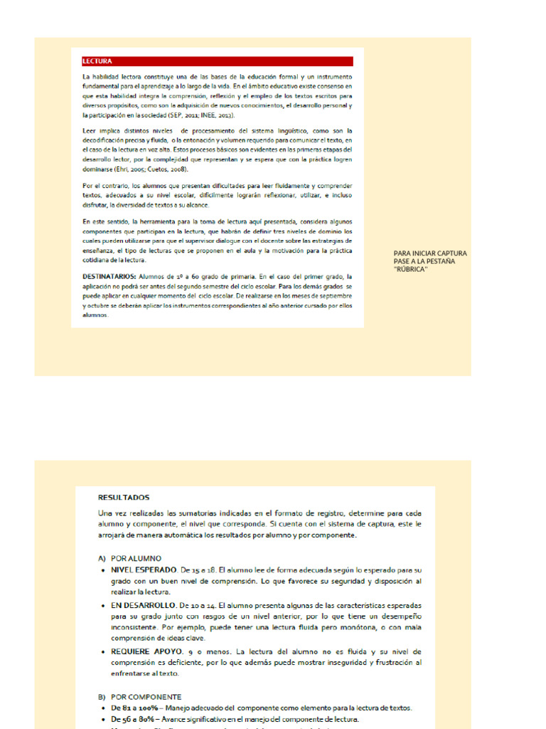 TOMA DE LECTURA SEGUNDO IDAI | PDF