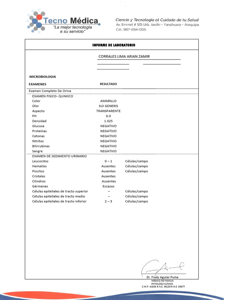 Corrales Lima Arian Zamir | PDF