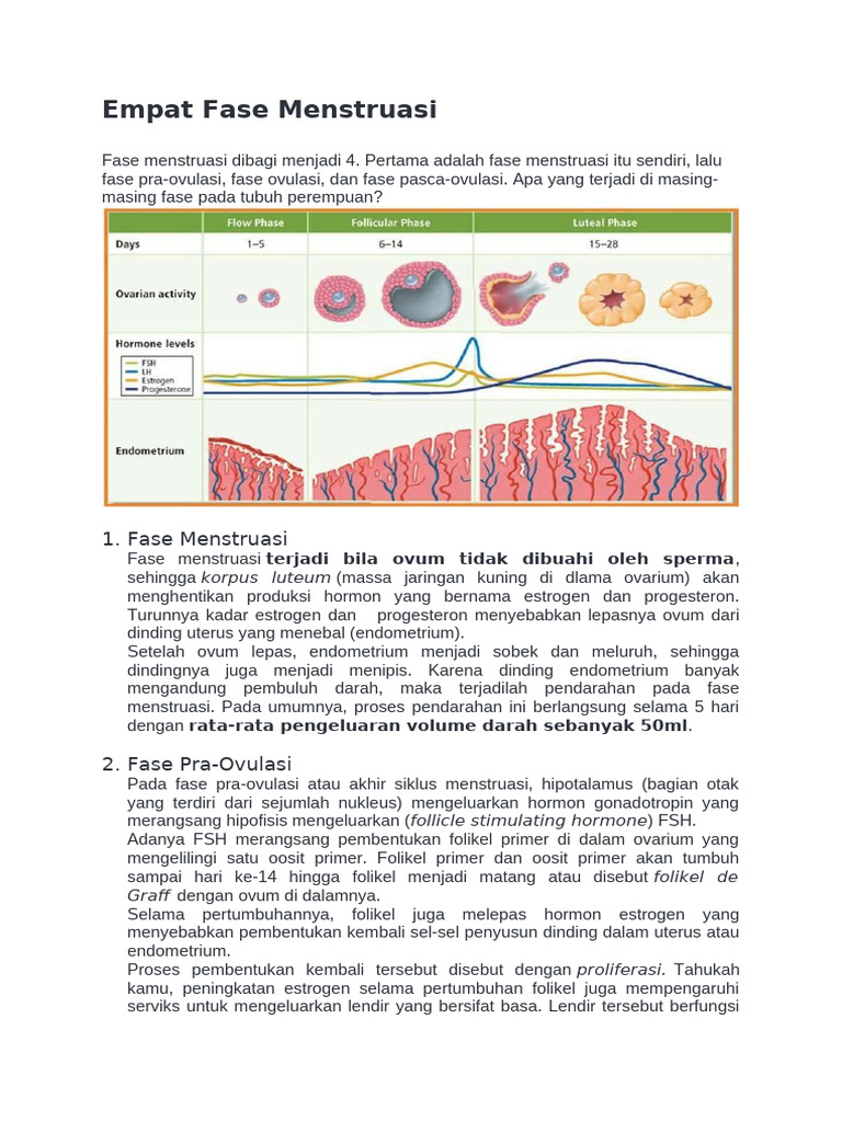 Empat Fase Menstruasi | PDF