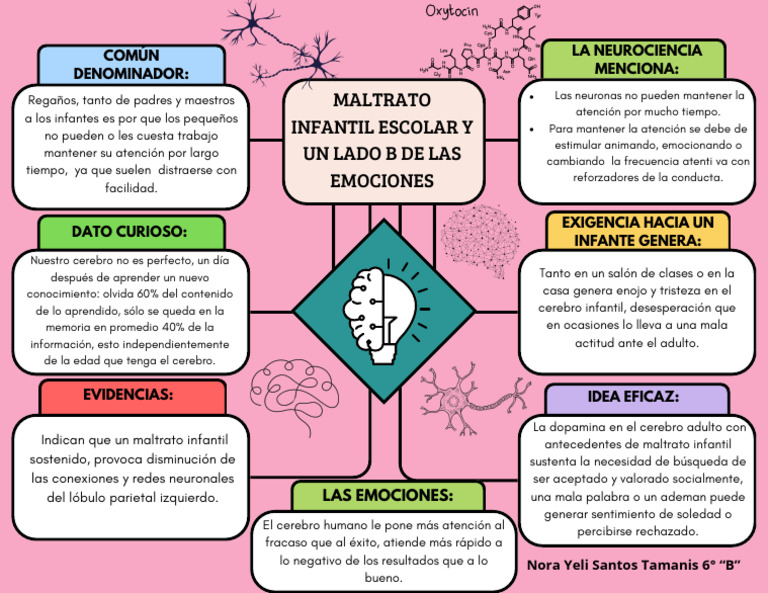 Organizador Gráfico de La Lectura El Lado B de Las Emociones Nora Yeli ...