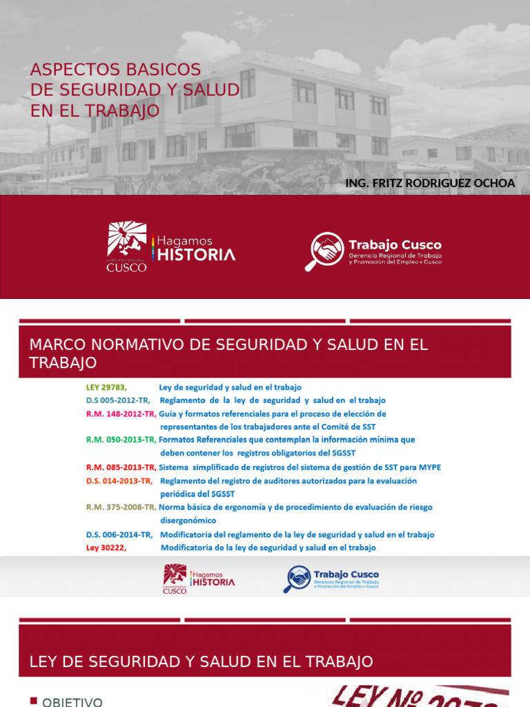 ASPECTOS BASICOS SST 2024 | PDF | Seguridad y salud ocupacional | La seguridad