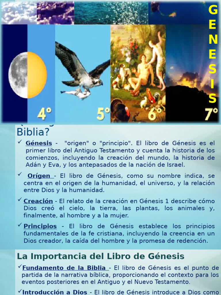 Estudio Del Libro de Genesis 1 | PDF | Libro del Génesis | Abrahán