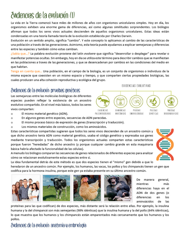 Guia - 3 - Evidencias de La Evolución-2 | PDF | Evolución | Gene