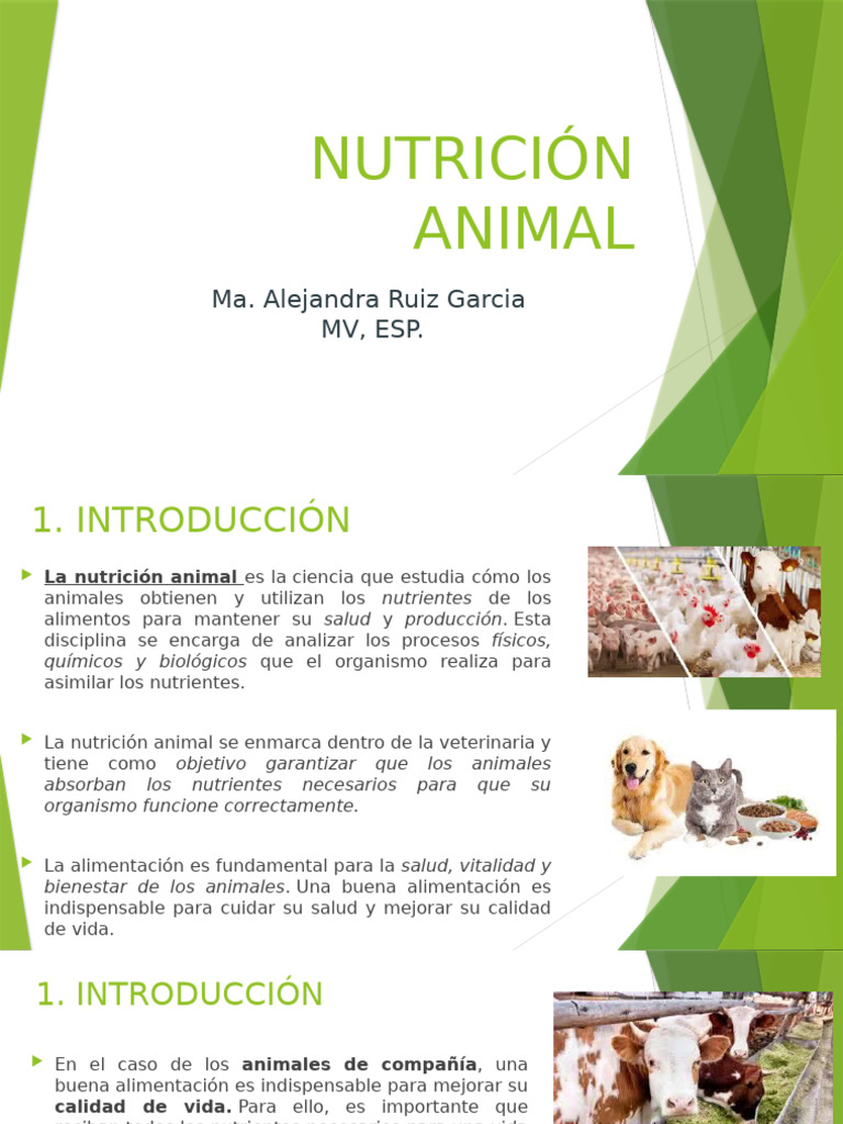 Nutricion Animal | PDF | Digestión | Sistema digestivo humano