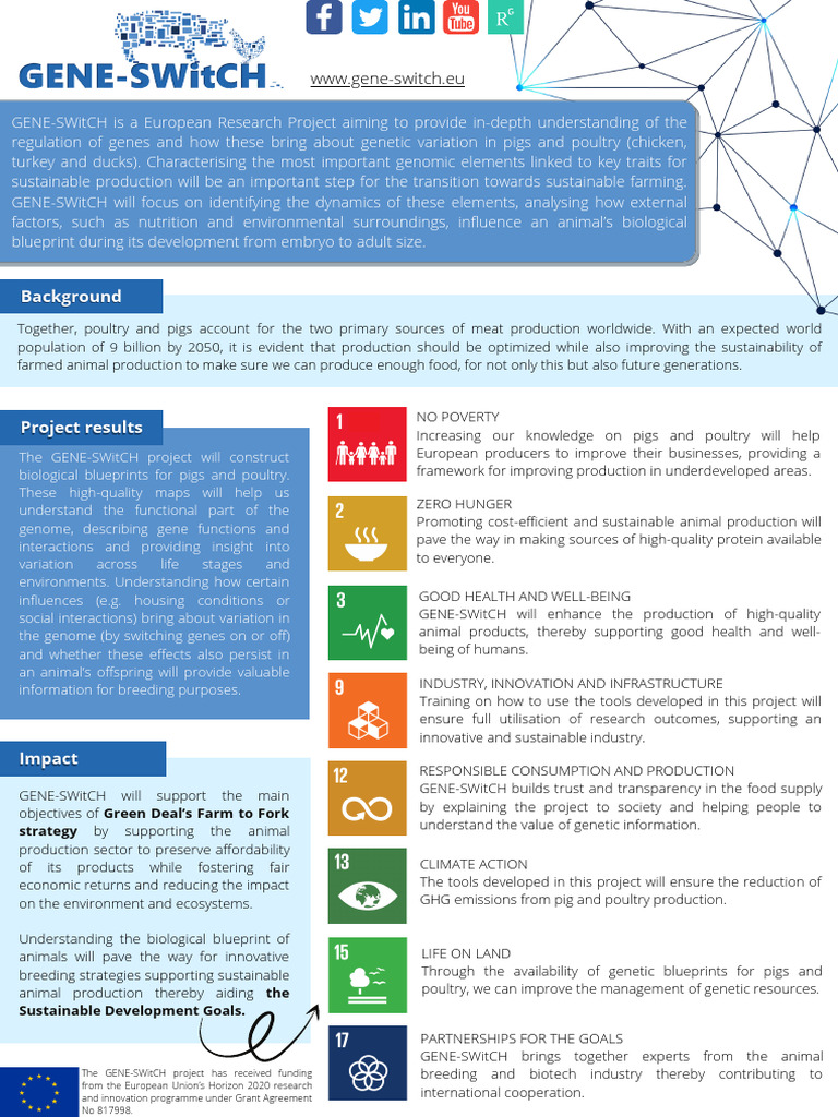 factsheet_gene-switch_english | PDF | Gene | Sustainability