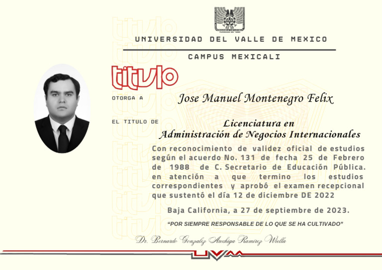 548903524-TITULO-UVM .pdf (1) | PDF