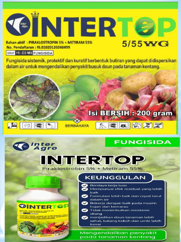 Intertop | PDF