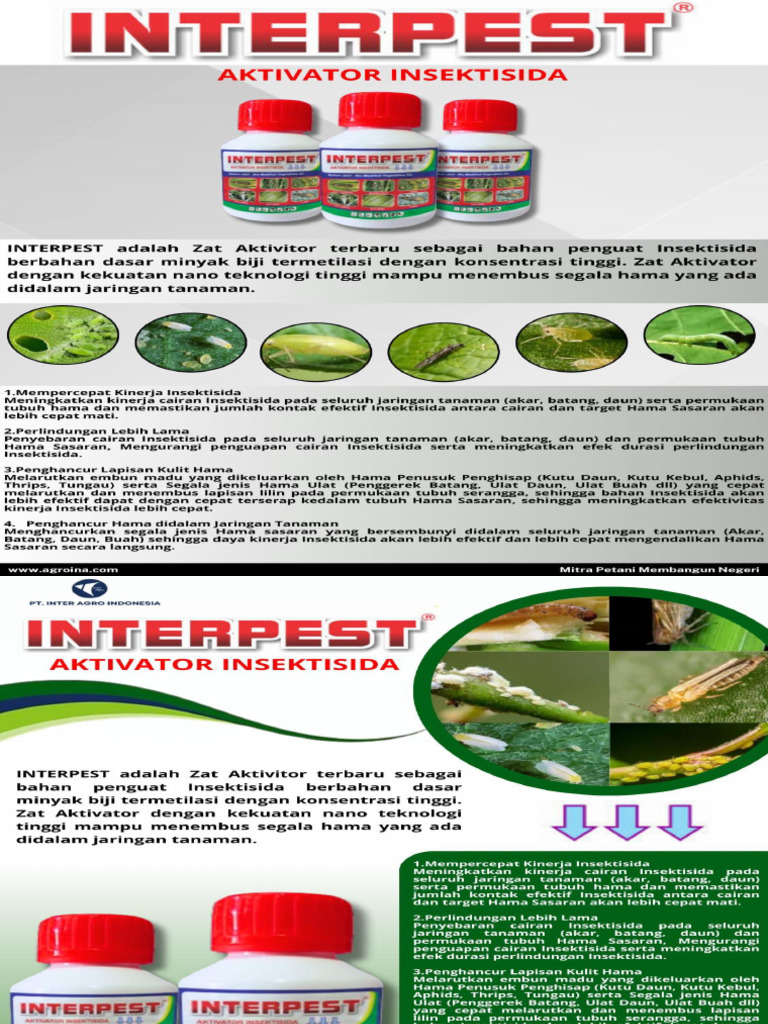 Interpest | PDF