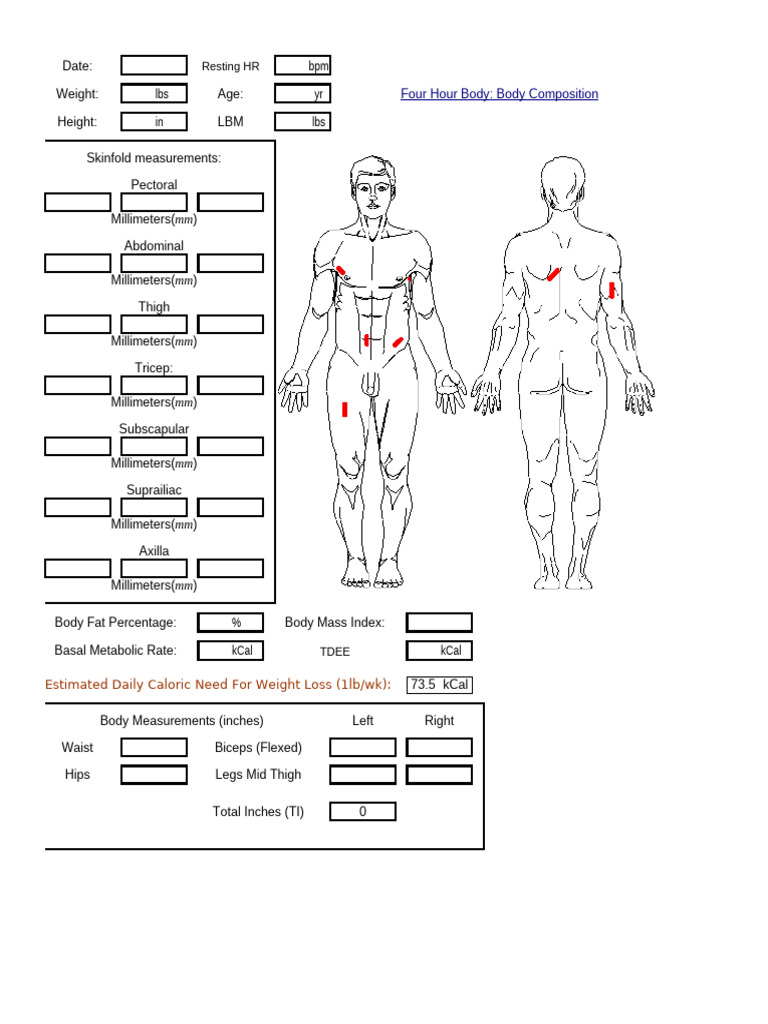 Male-4-Hour-Body-Composition-Worksheet | PDF