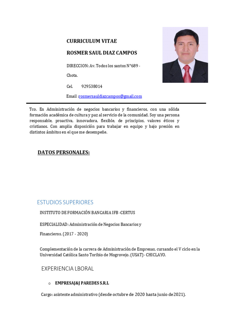 CV Rosmer 1 | PDF