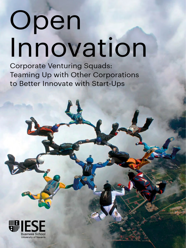 Corporte Venture Squads | PDF | Startup Company | Small Business & Entrepreneurs