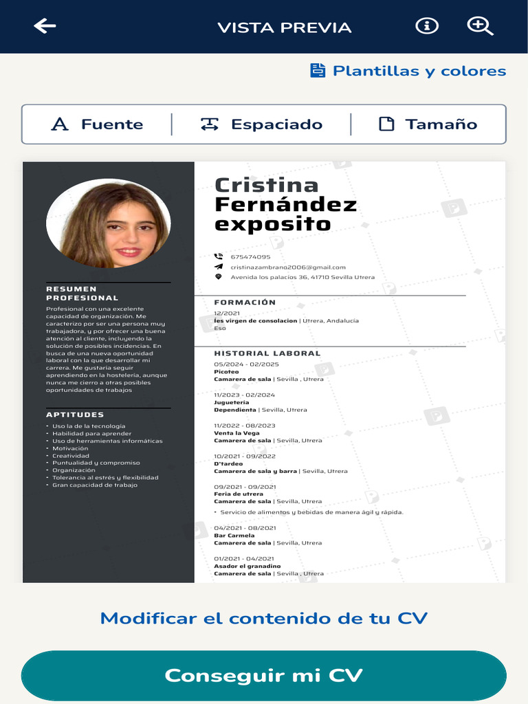 Finalizar CV - Mi CV Ideal | PDF | Sevilla