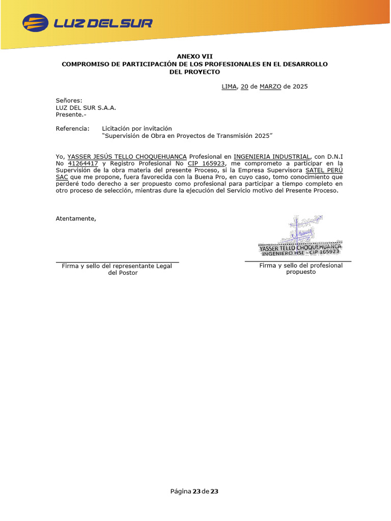 Anexo VII- Compromiso | PDF